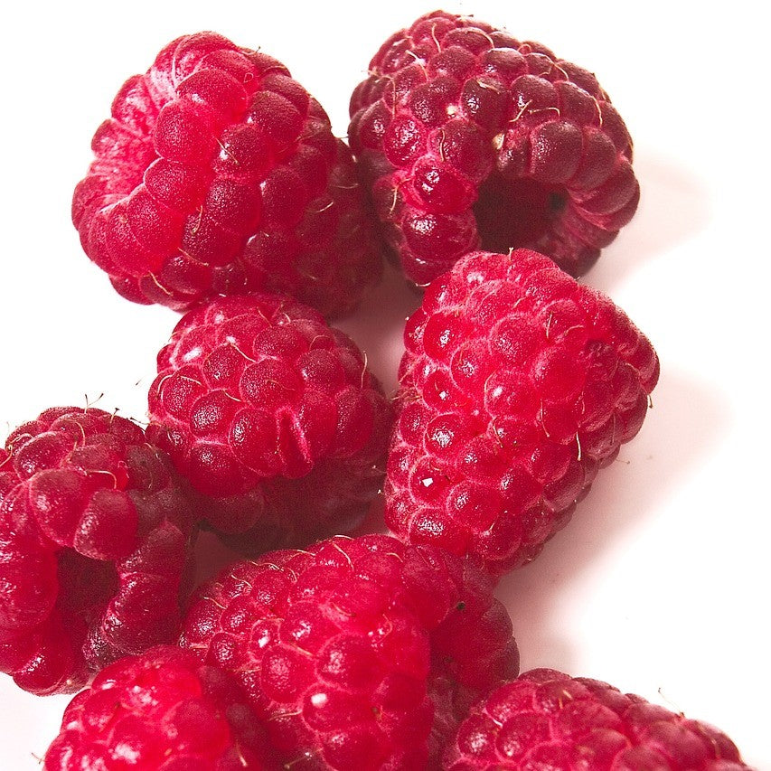 Raspberry - Red Mammoth – Bearberry Roots